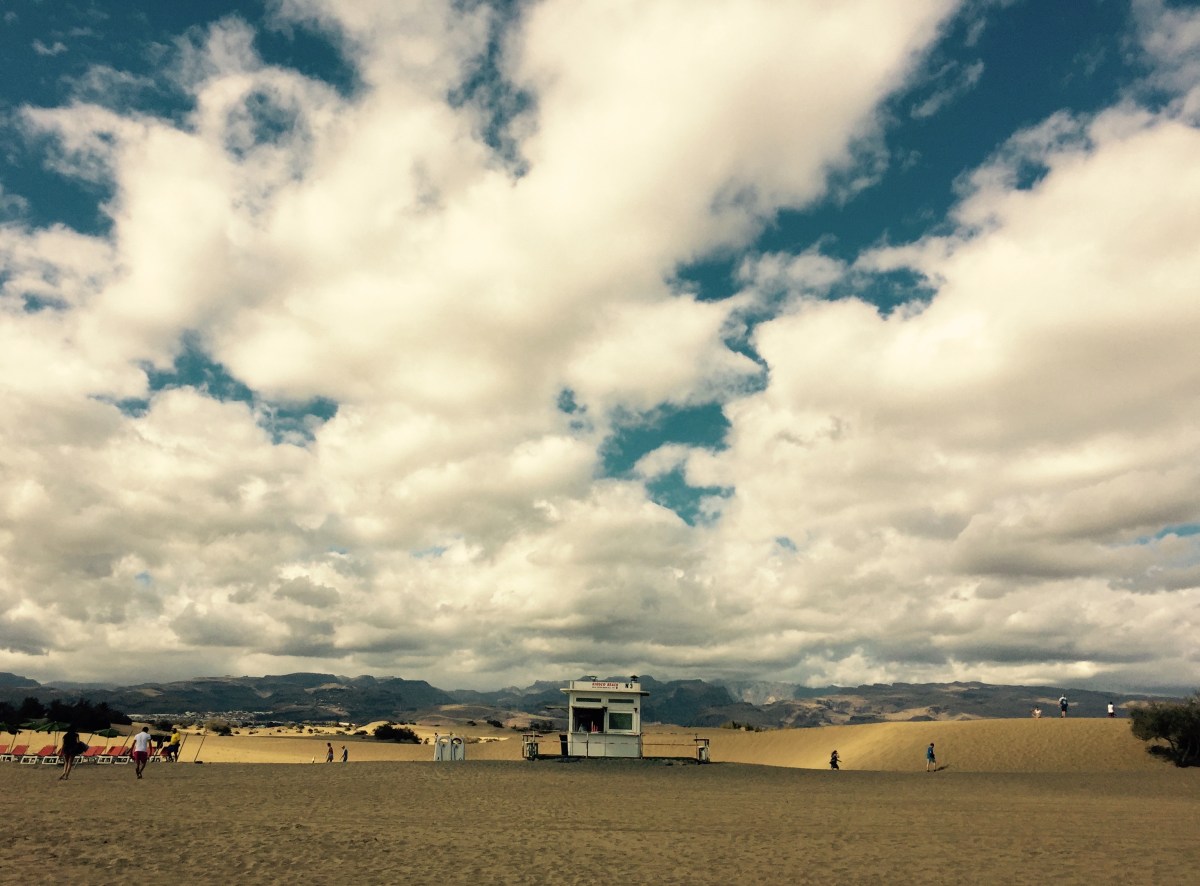 Sobre la mente y el orden | Ana Genover